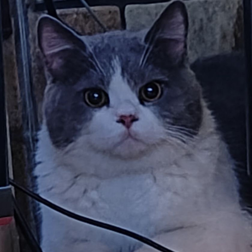 御神决（首续0.1折）官网_御神决（首续0.1折）公益服_御神决（首续0.1折）变态版下载_御神决（首续0.1折）礼包_咪噜游戏